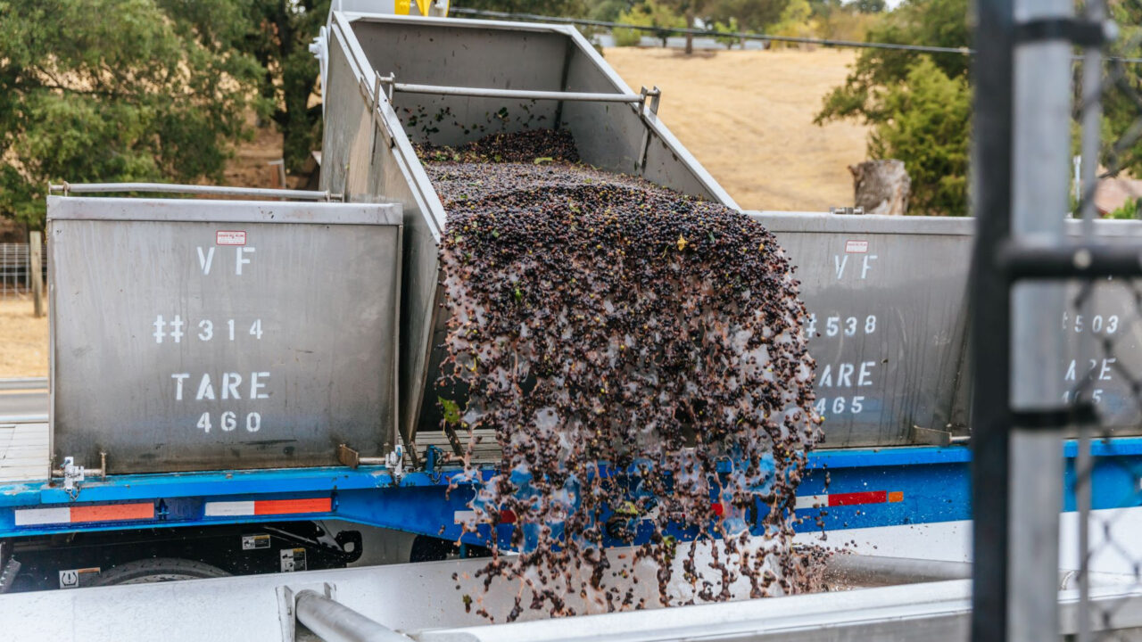Winery Client Services | Rack & Riddle